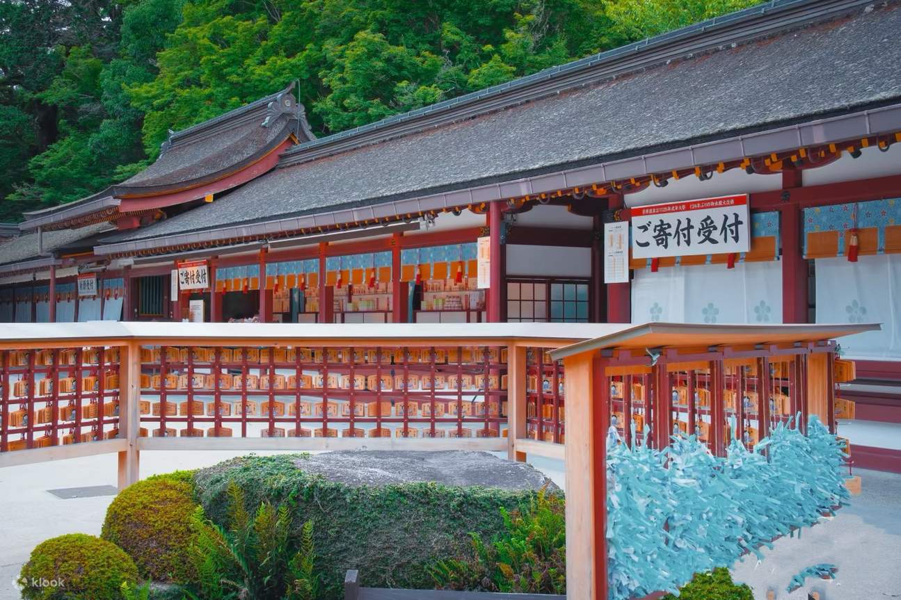 [Sakura Limited] Kyushu Saga Cherry Blossom Viewing Spots Day Tour ...